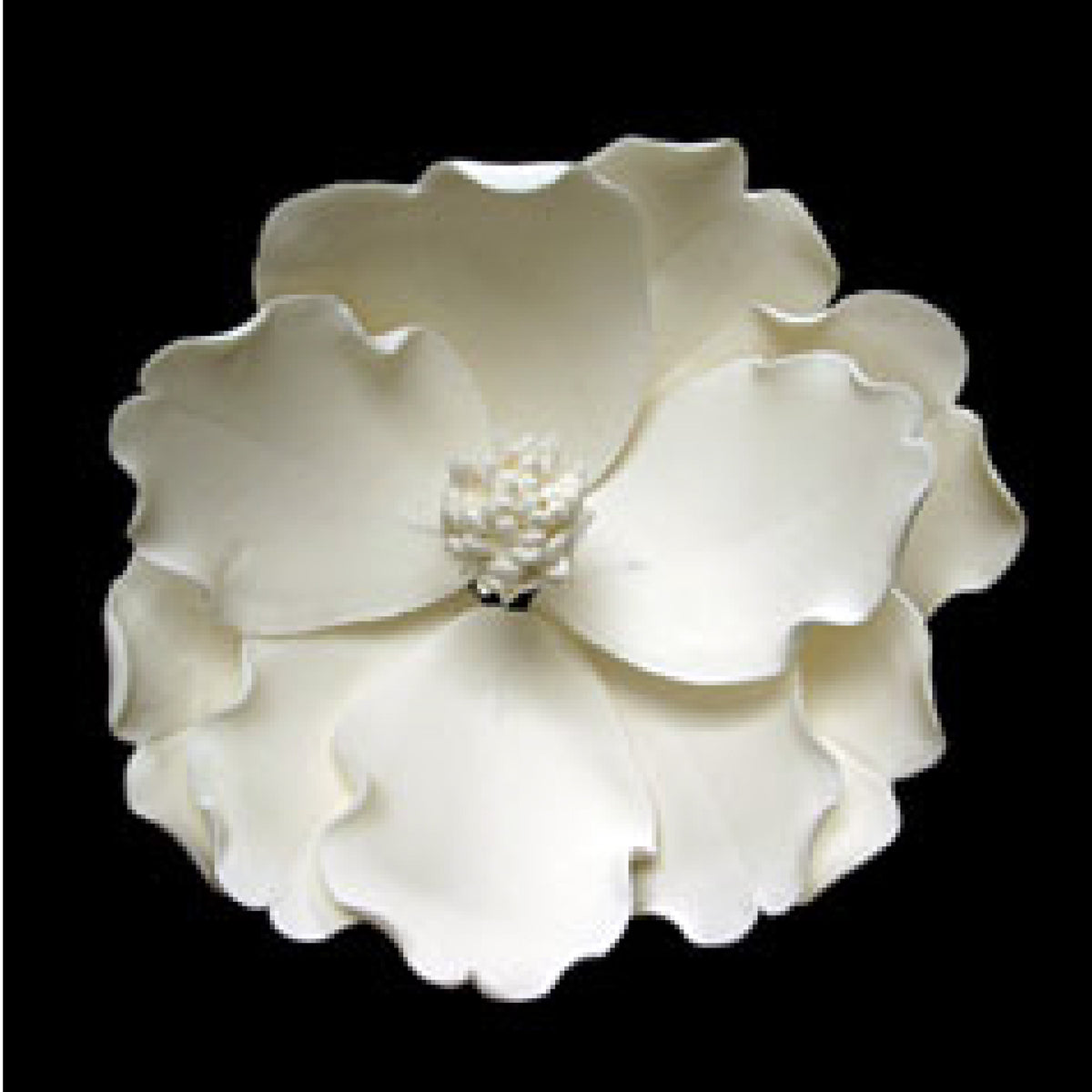 Large White Magnolia – Cake Central Barbados