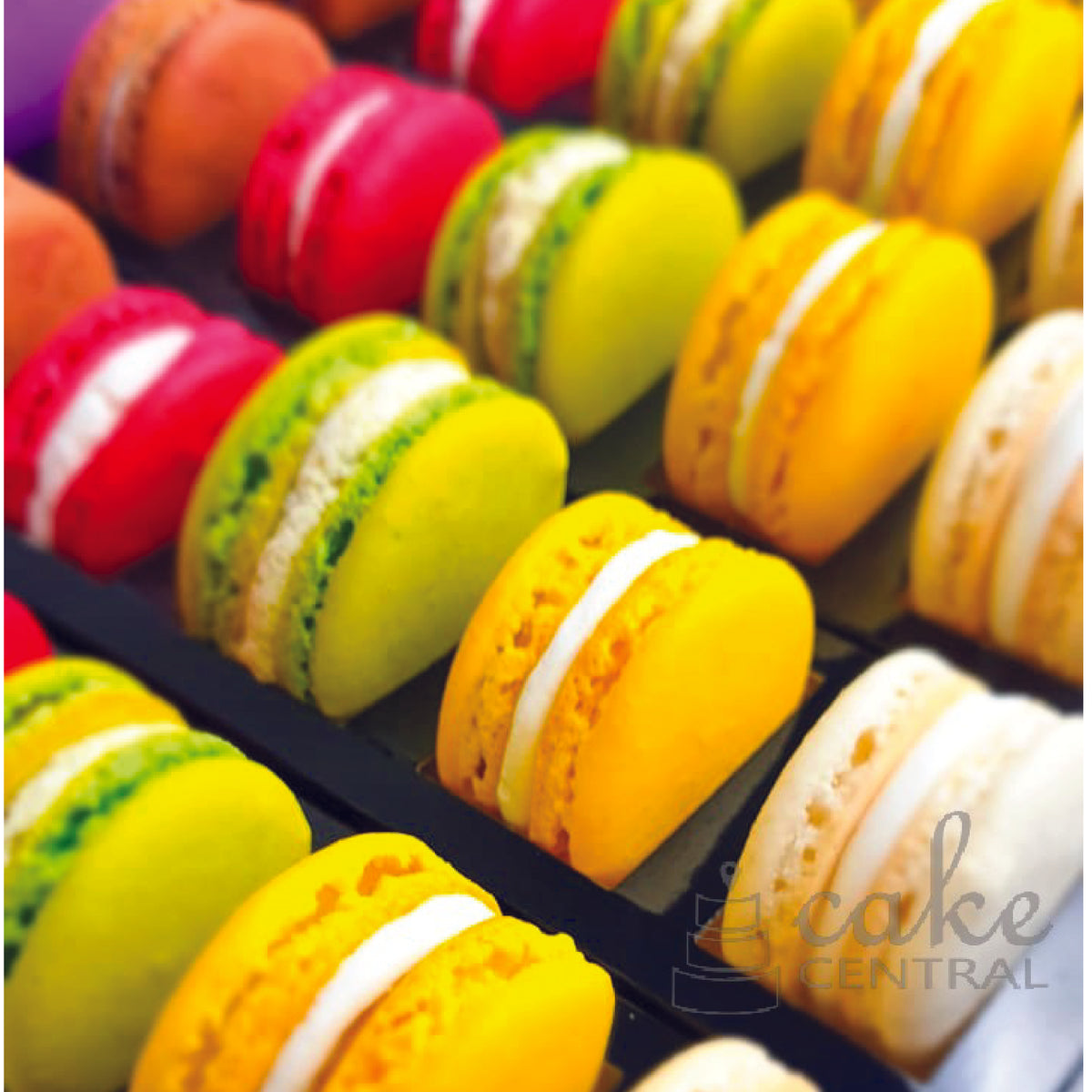 Macaron Sampler – Cake Central Barbados